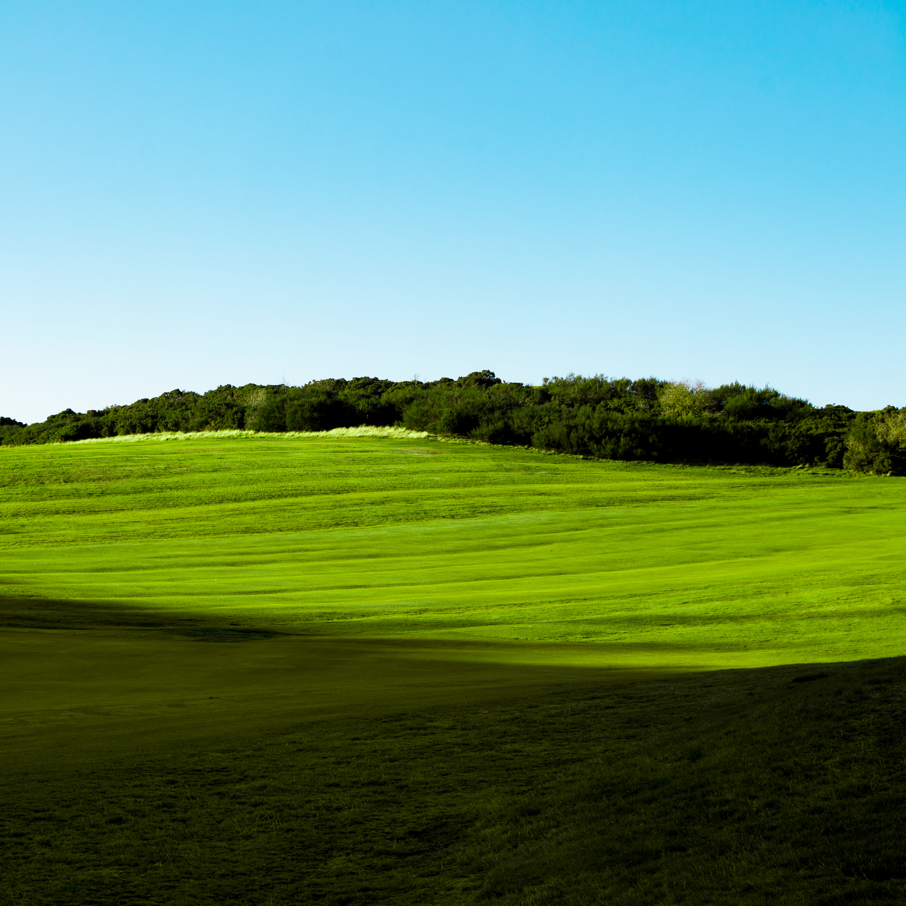 The Aesthetic of Golf Courses – Erica Marchetti
