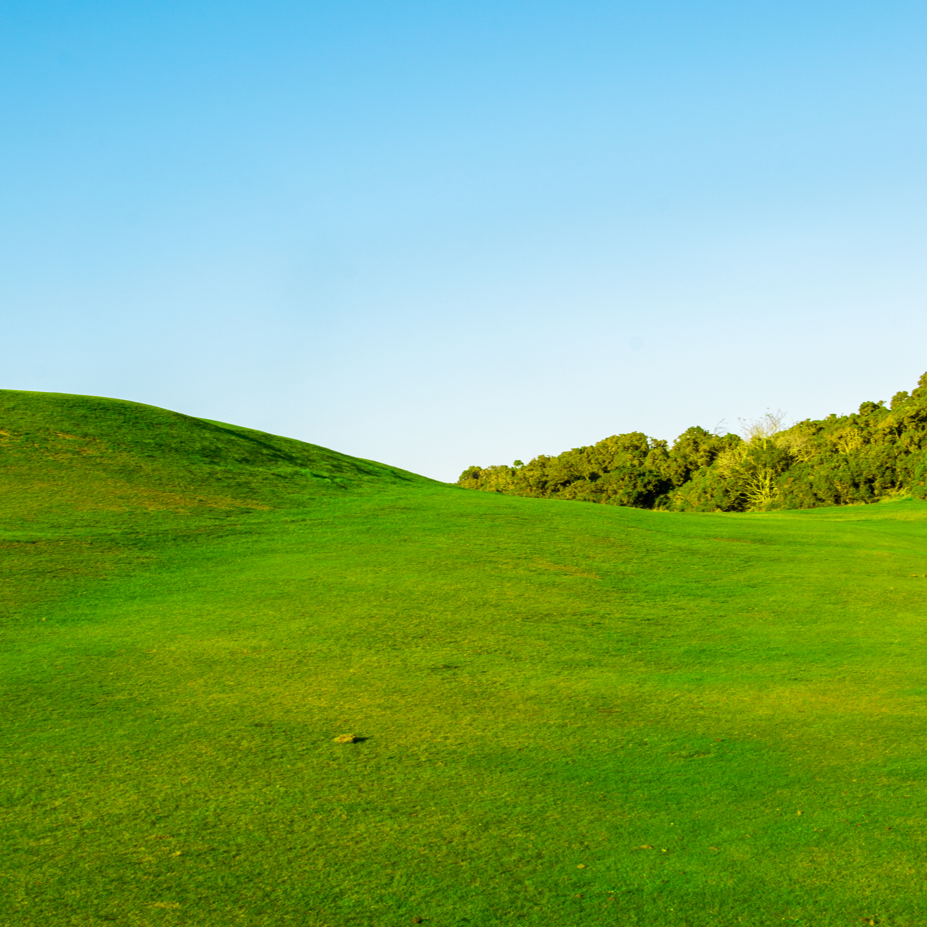 The Aesthetic of Golf Courses – Erica Marchetti